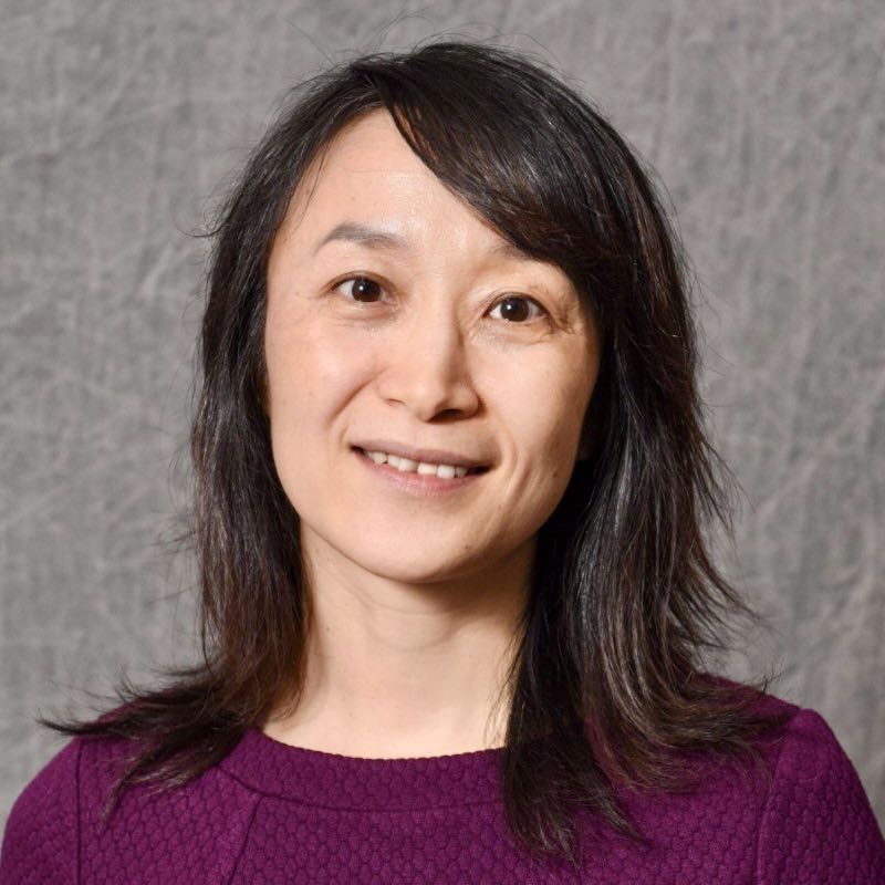 Huiling Ding | NC State Data Science and AI Academy Huiling Ding | NC State Data Science and AI Academy