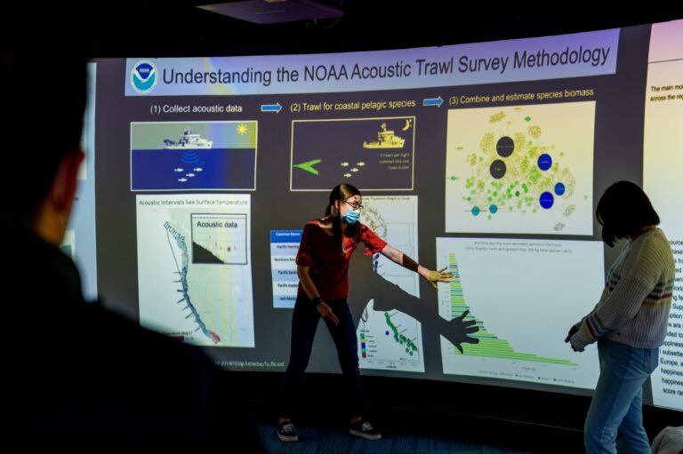 DSA Minors and Certificates | NC State Data Science and AI Academy DSA Minors and Certificates | NC State Data Science and AI Academy
